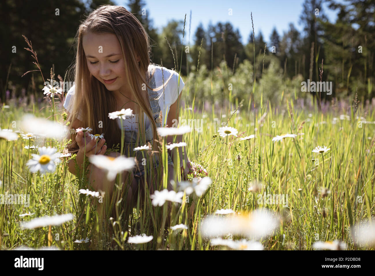 Beautiful girl flower field hi-res stock photography and images - Alamy