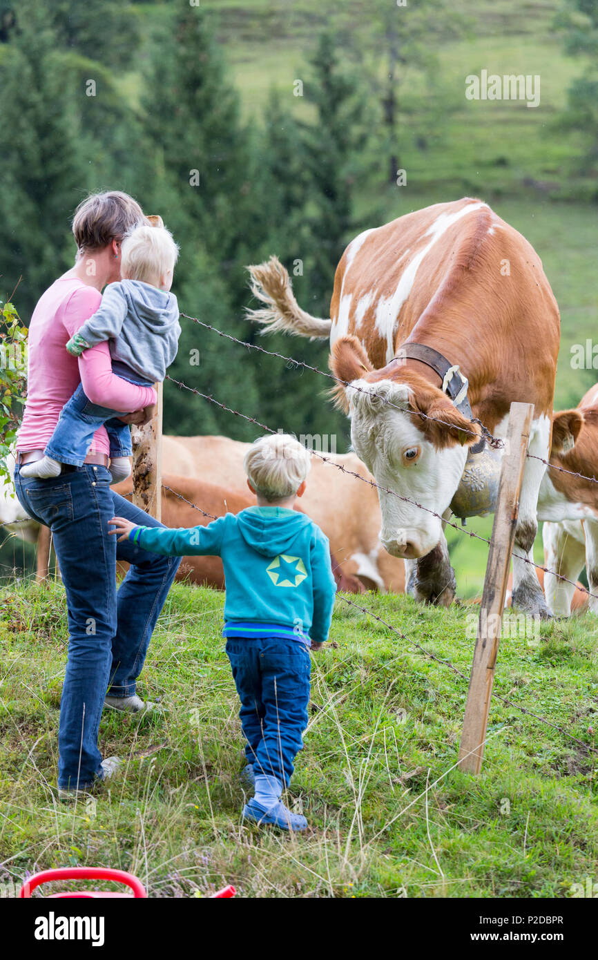 Family, mother and two children standing in front of an alpine meadow ...