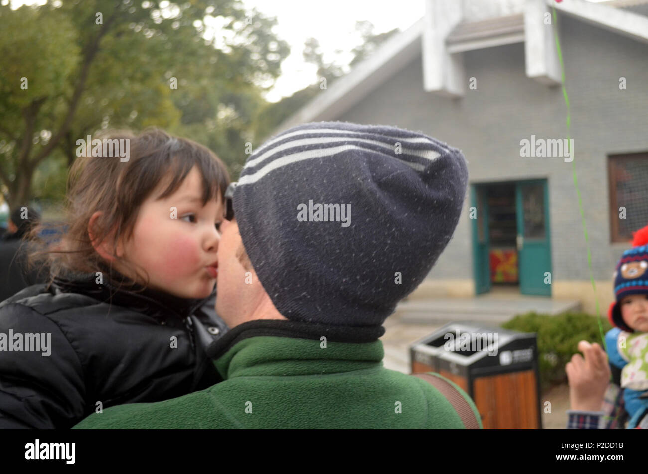 Peter griffin hi-res stock photography and images - Alamy