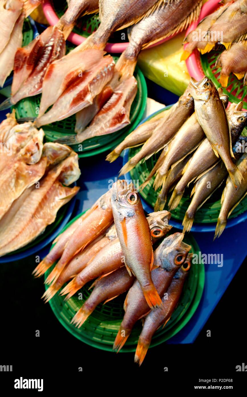 South Korea, South Gyeongsang province, Busan, fish market Stock Photo ...