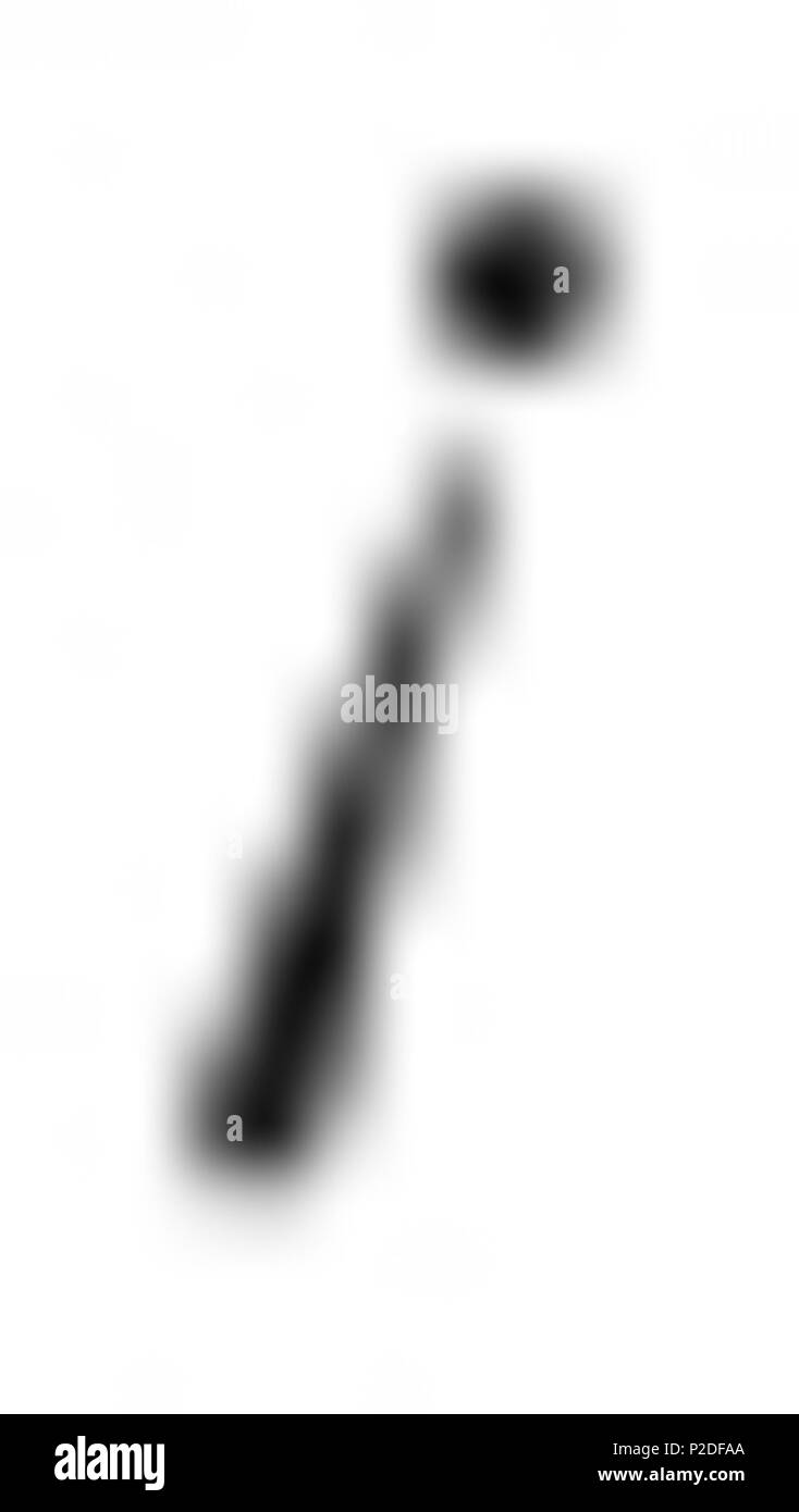 English 31 Cut Out Stock Images & Pictures - Alamy