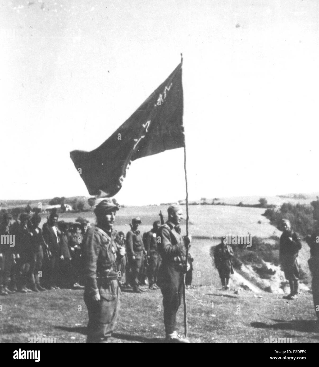. English: Formation of the 1st Macedonian brigade, Lokov near Struga ...