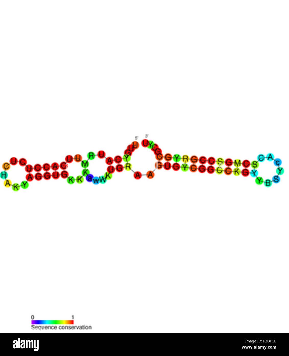 Ss 44 hi-res stock photography and images - Alamy