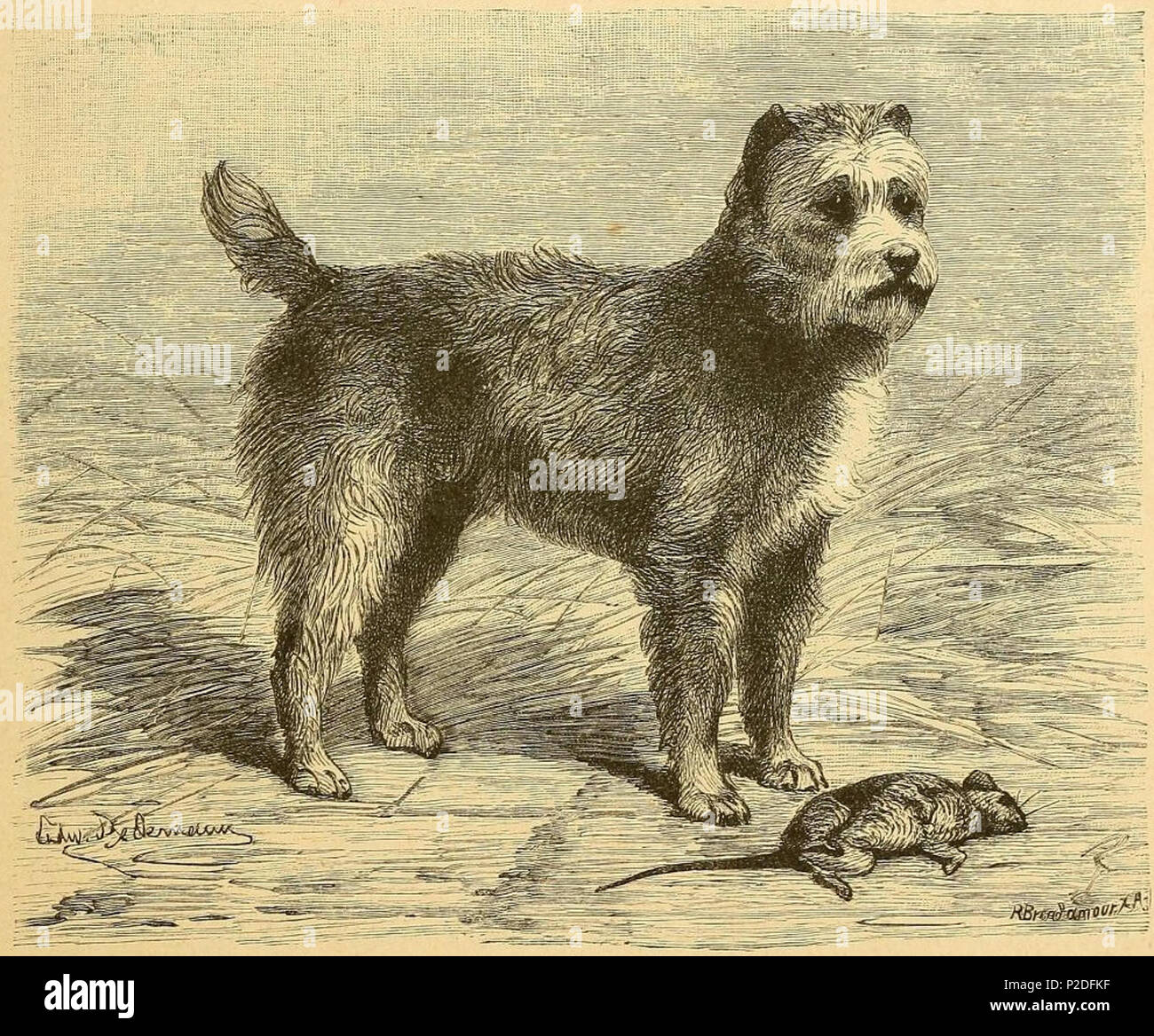 Ludwig beckmann hi-res stock photography and images - Alamy