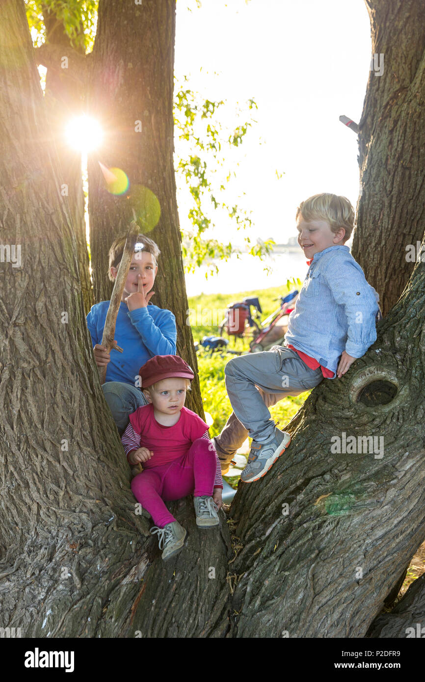Tree climbing adventure hi-res stock photography and images - Alamy