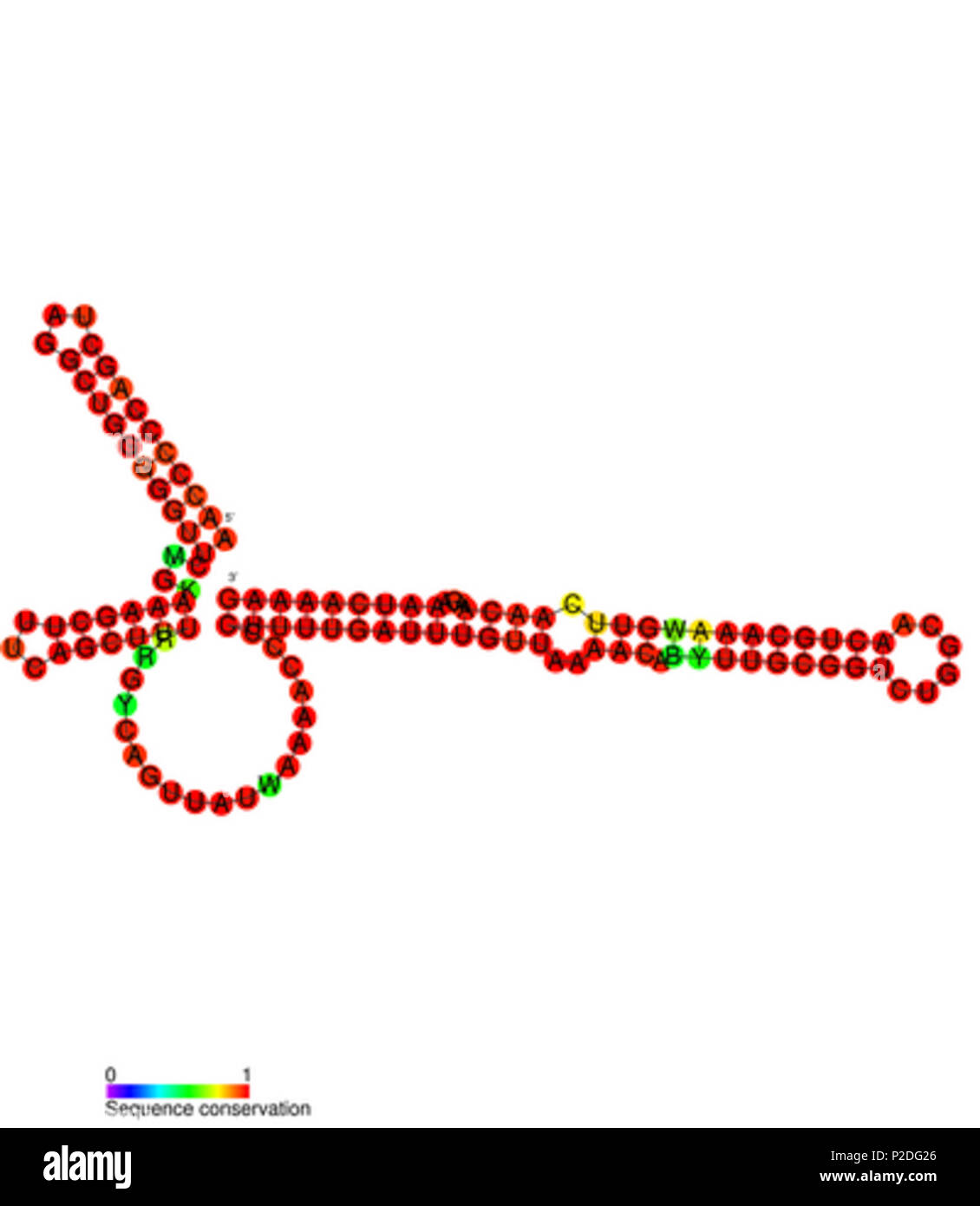 Literature festival Cut Out Stock Images & Pictures - Alamy