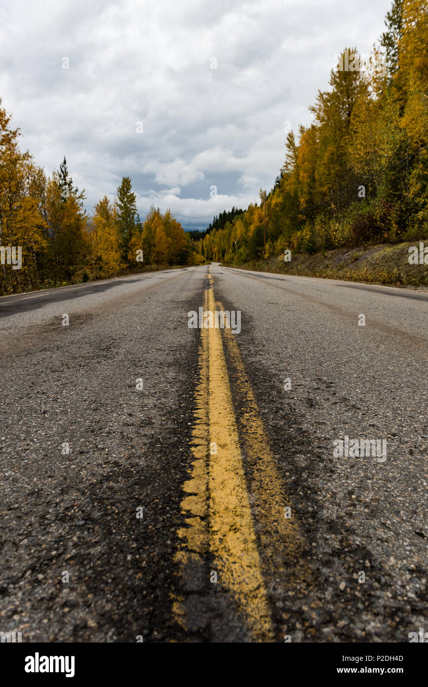 Straight road through forest hi-res stock photography and images - Alamy