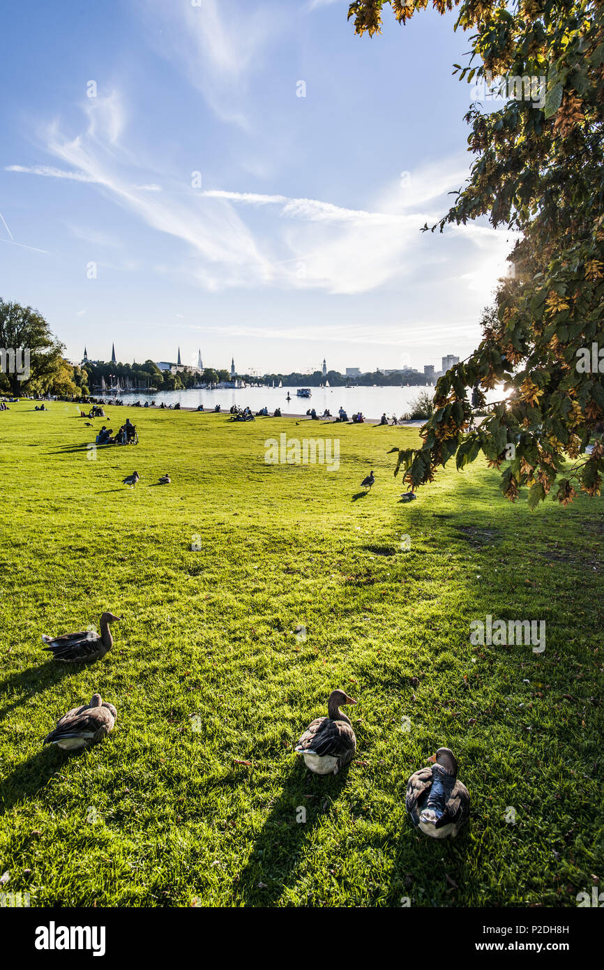 The aussenalster outer alster hi-res stock photography and images - Alamy