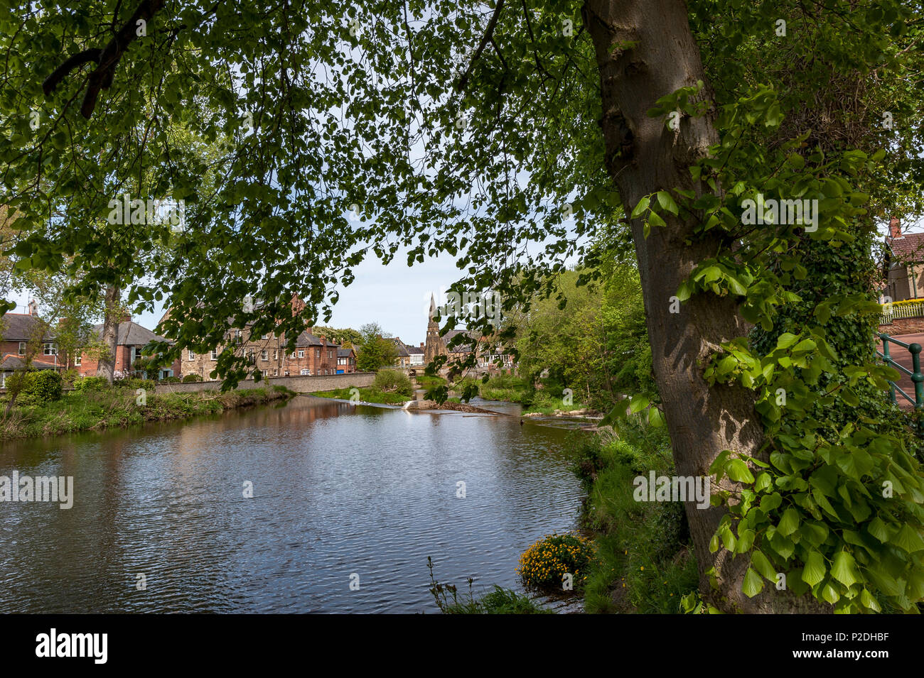 Morpeth, Northumberland, England Stock Photo - Alamy
