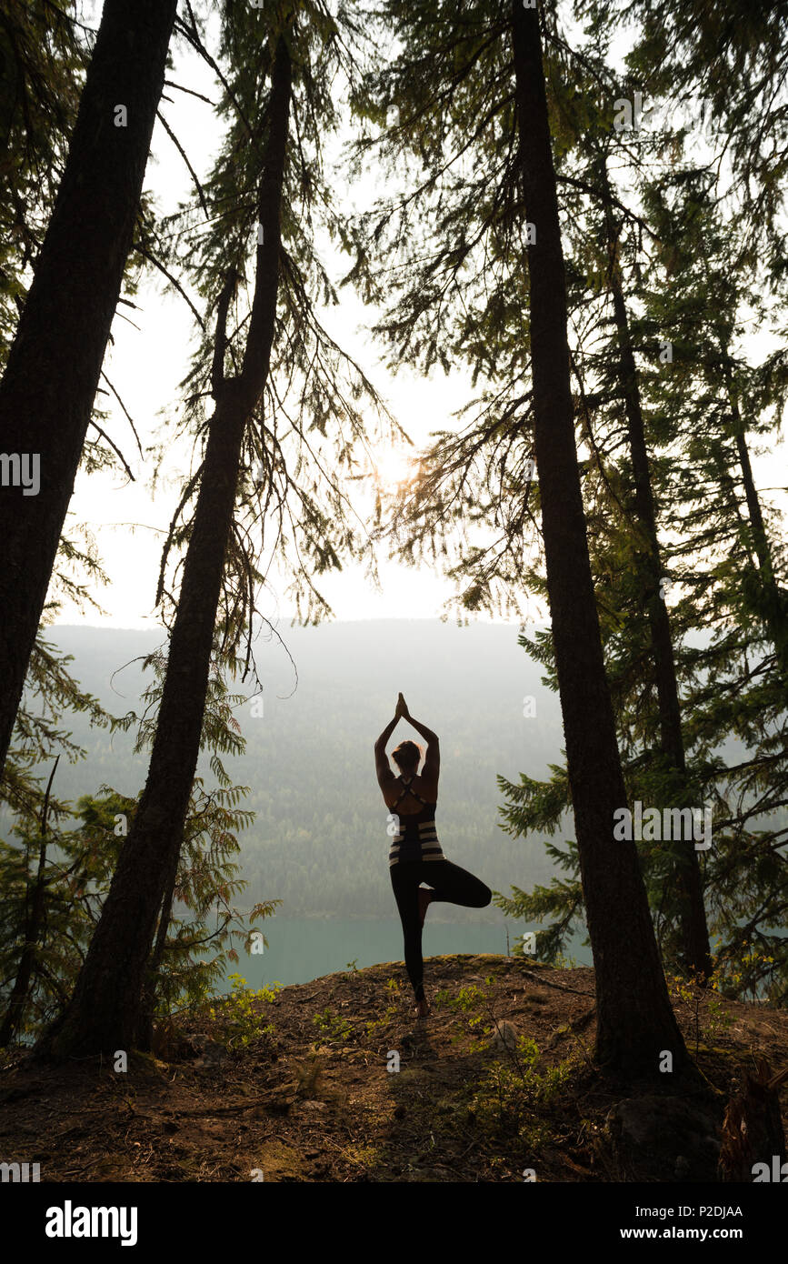 Fit woman performing stretching exercise in a lush green forest Stock ...