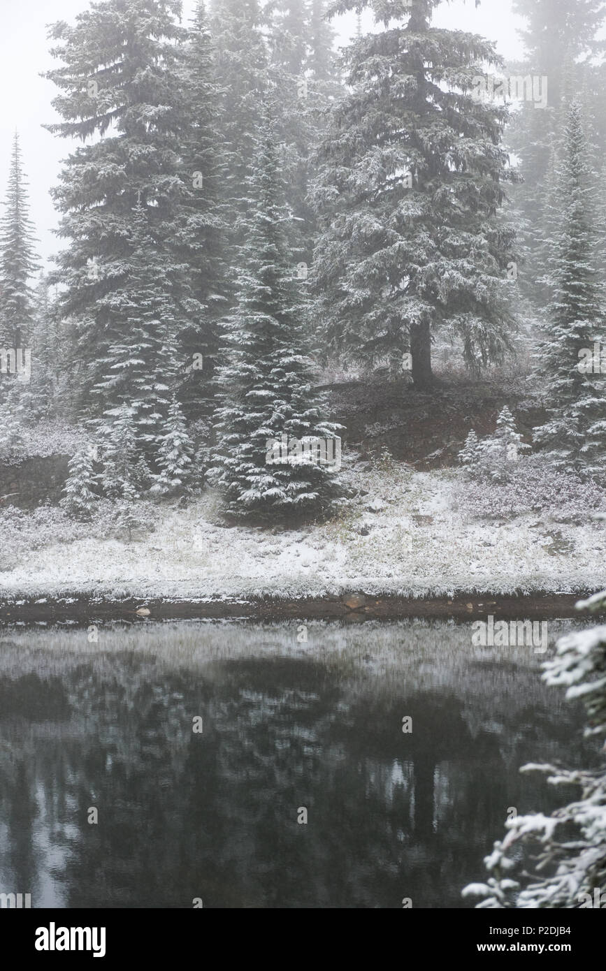 Trees along river hi-res stock photography and images - Alamy