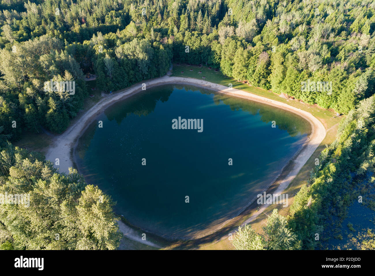 Drone shot dense forest hi-res stock photography and images - Alamy
