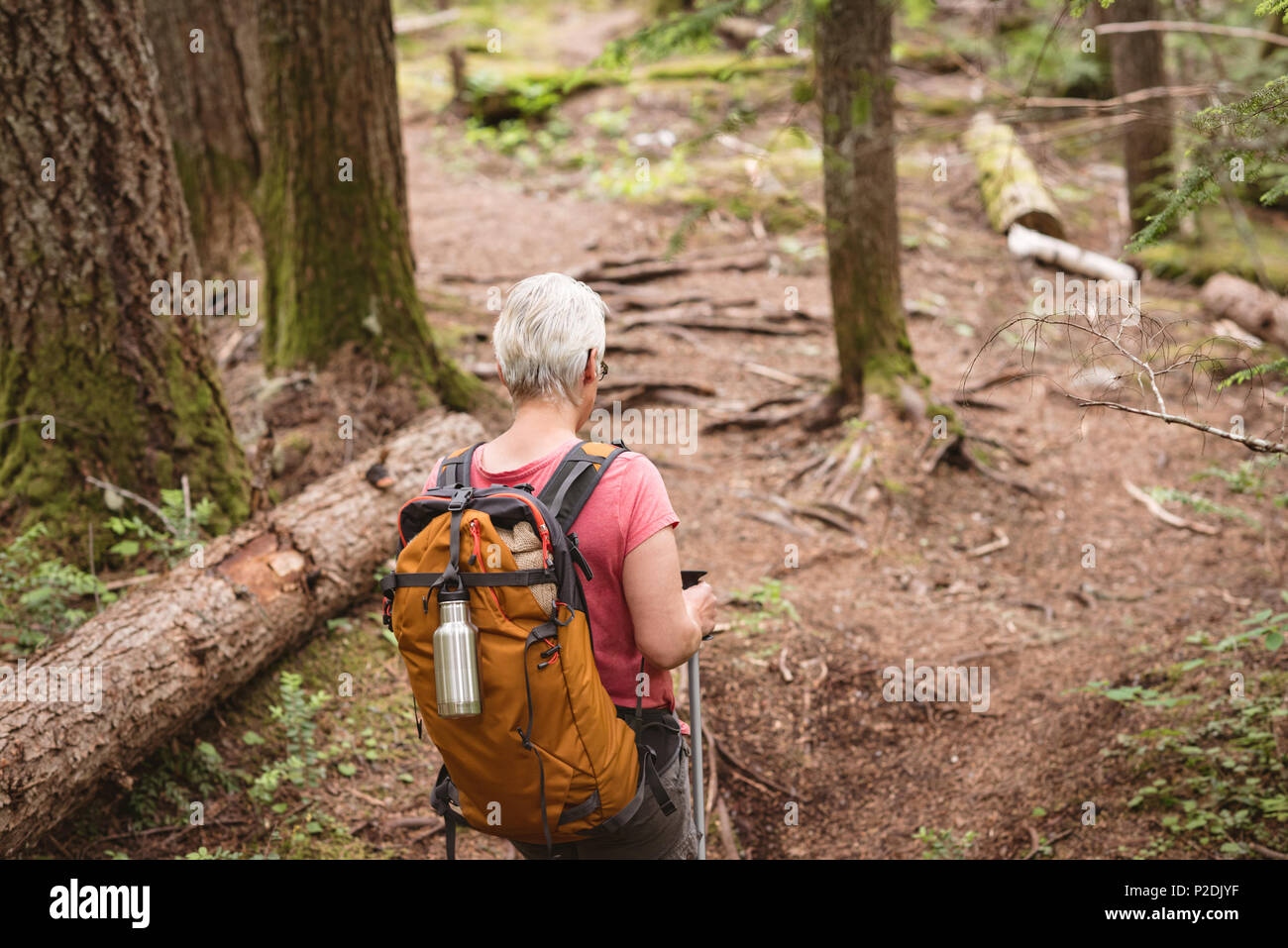 Mature woman hiking in forest Stock Photo - Alamy