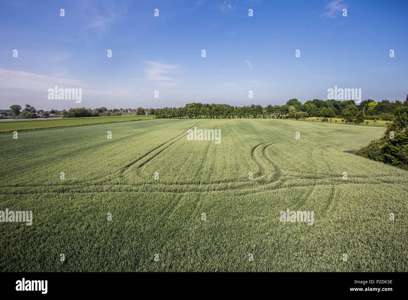 Aerial view of agricultural fields in the Netherlands Stock Photo - Alamy