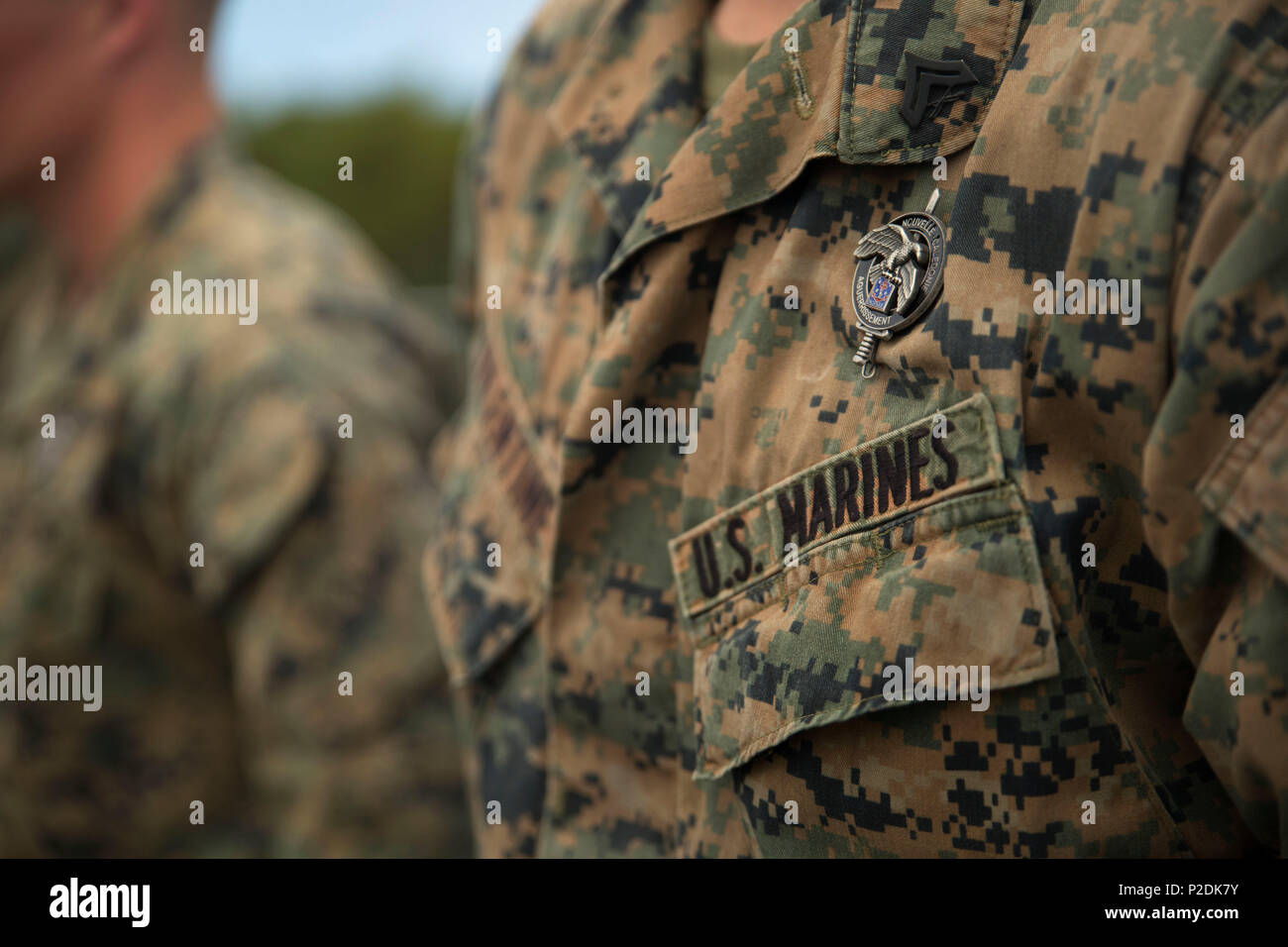 Marines with Marine Rotational Force – Darwin receive pins signifying ...