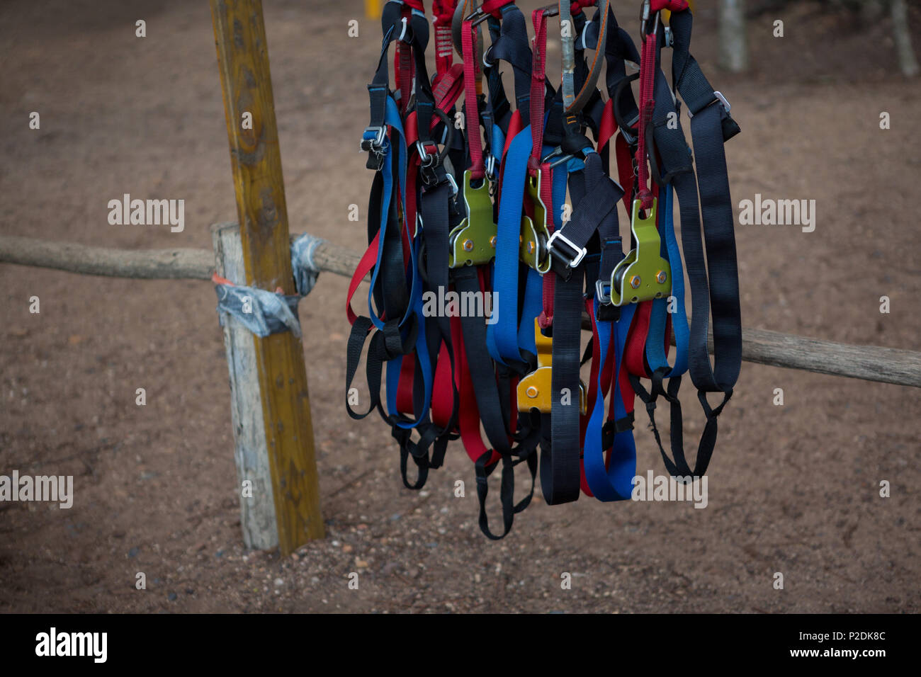 Harnesses hanging at the starting point Stock Photo - Alamy