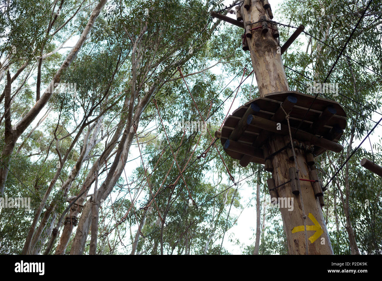 Zip line starting point in a jungle Stock Photo - Alamy