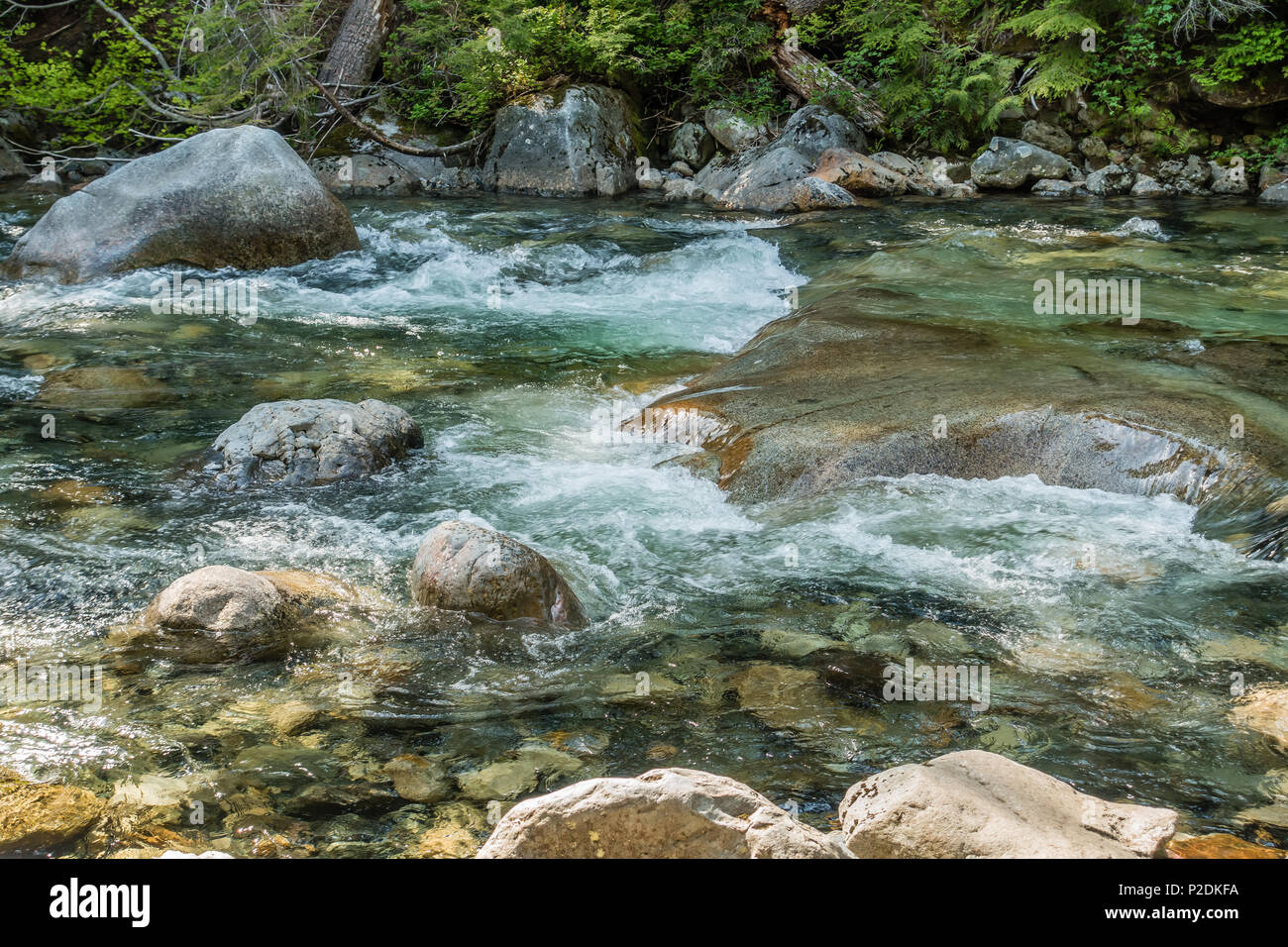 Clear water flows in Denny Creek in Washington State Stock Photo - Alamy