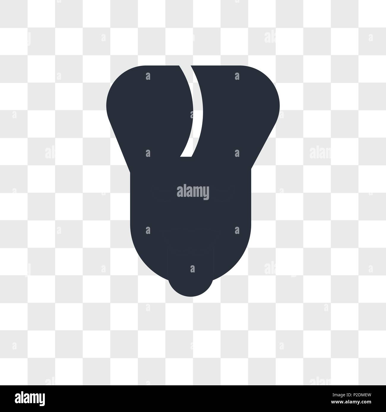 Fakir vector icon isolated on transparent background, Fakir logo ...