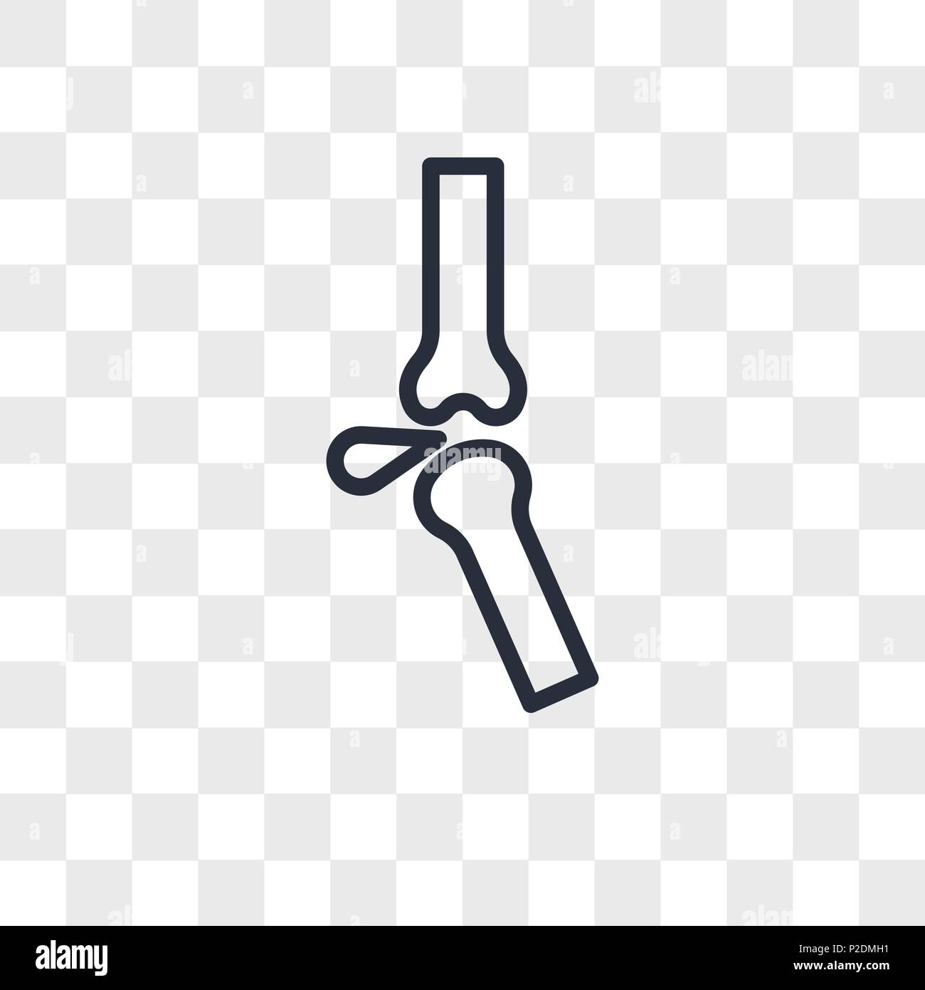 ortho vector icon isolated on transparent background, ortho logo ...