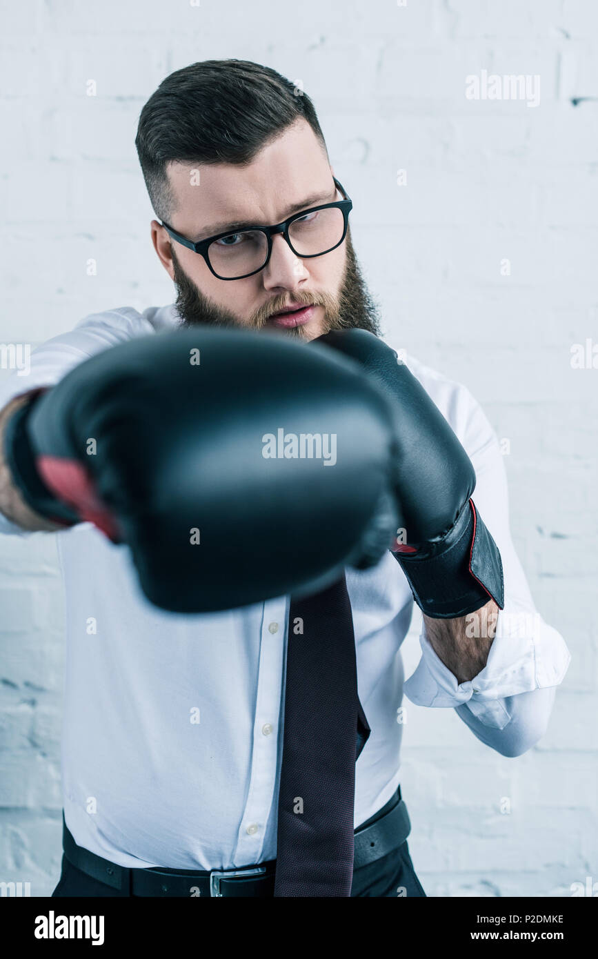 Concentrated boxer beard in boxing hi-res stock photography and images ...