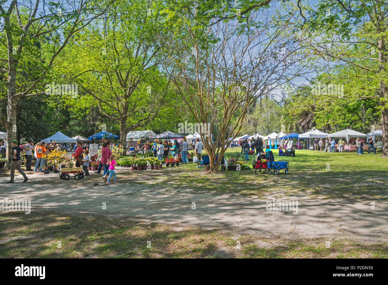 Spring Garden Festival in Gainesville, Florida Stock Photo - Alamy