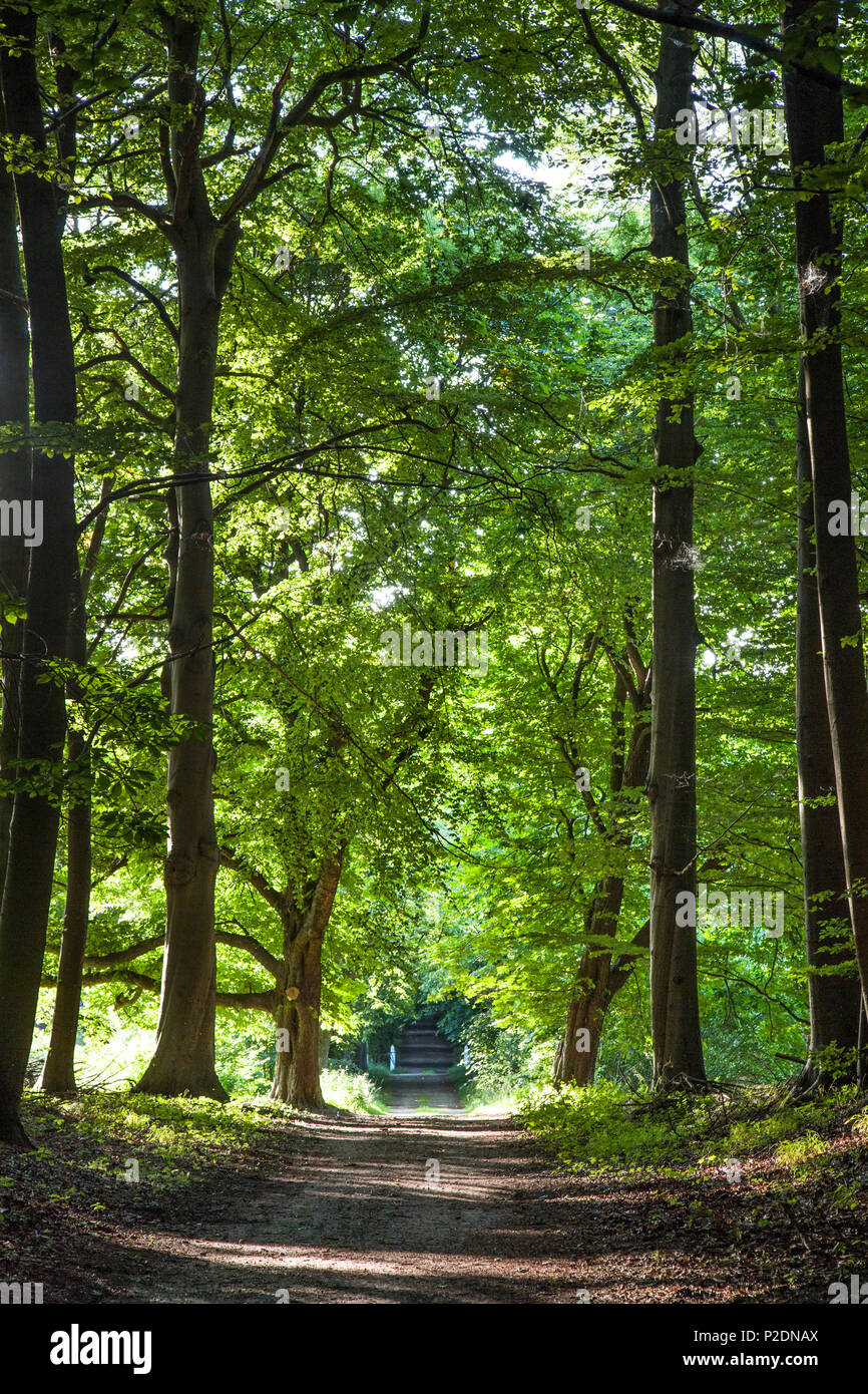 Selent High Resolution Stock Photography and Images - Alamy