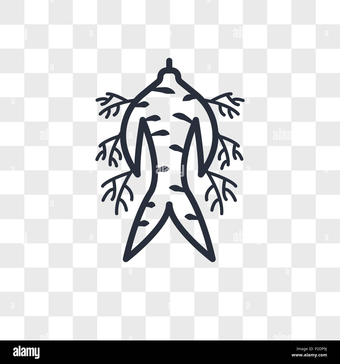 ginseng vector icon isolated on transparent background, ginseng logo ...