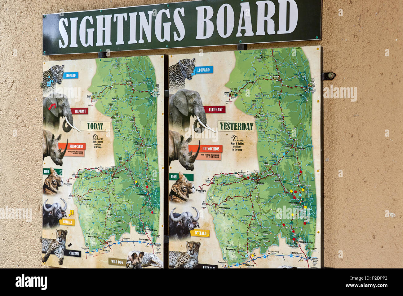 Sighting board in the Kruger National Park Game Reserve South Africa ...