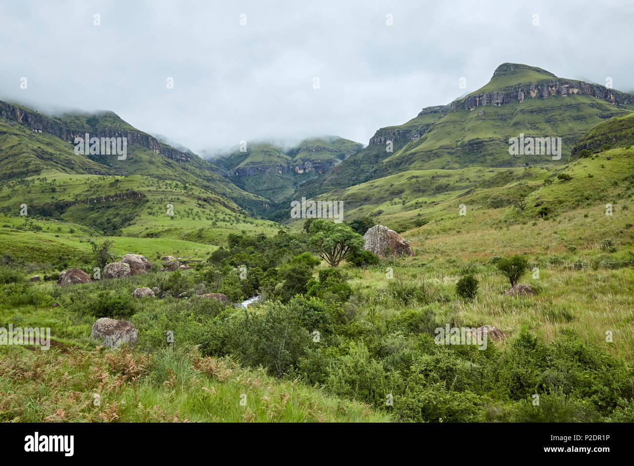Great escarpment south africa hi-res stock photography and images - Alamy