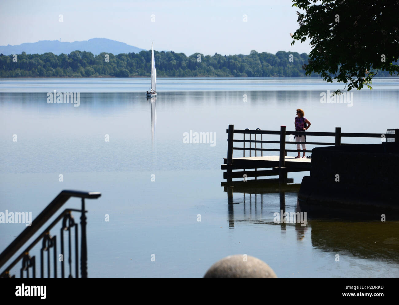 Lake Waginger near Waging, Rupertiwinkel, Chiemgau, Upper Bavaria ...