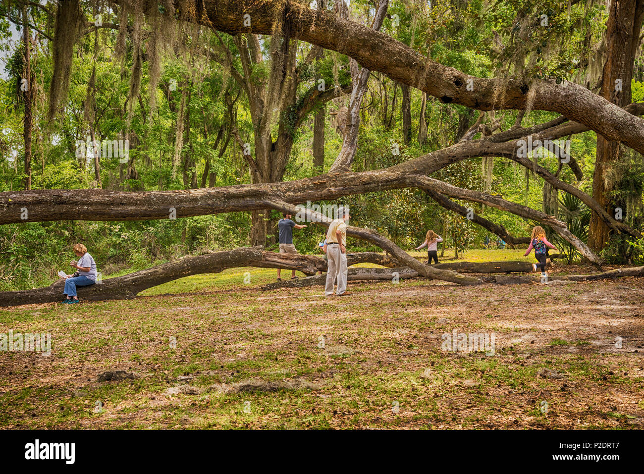 People and complexity hi-res stock photography and images - Alamy