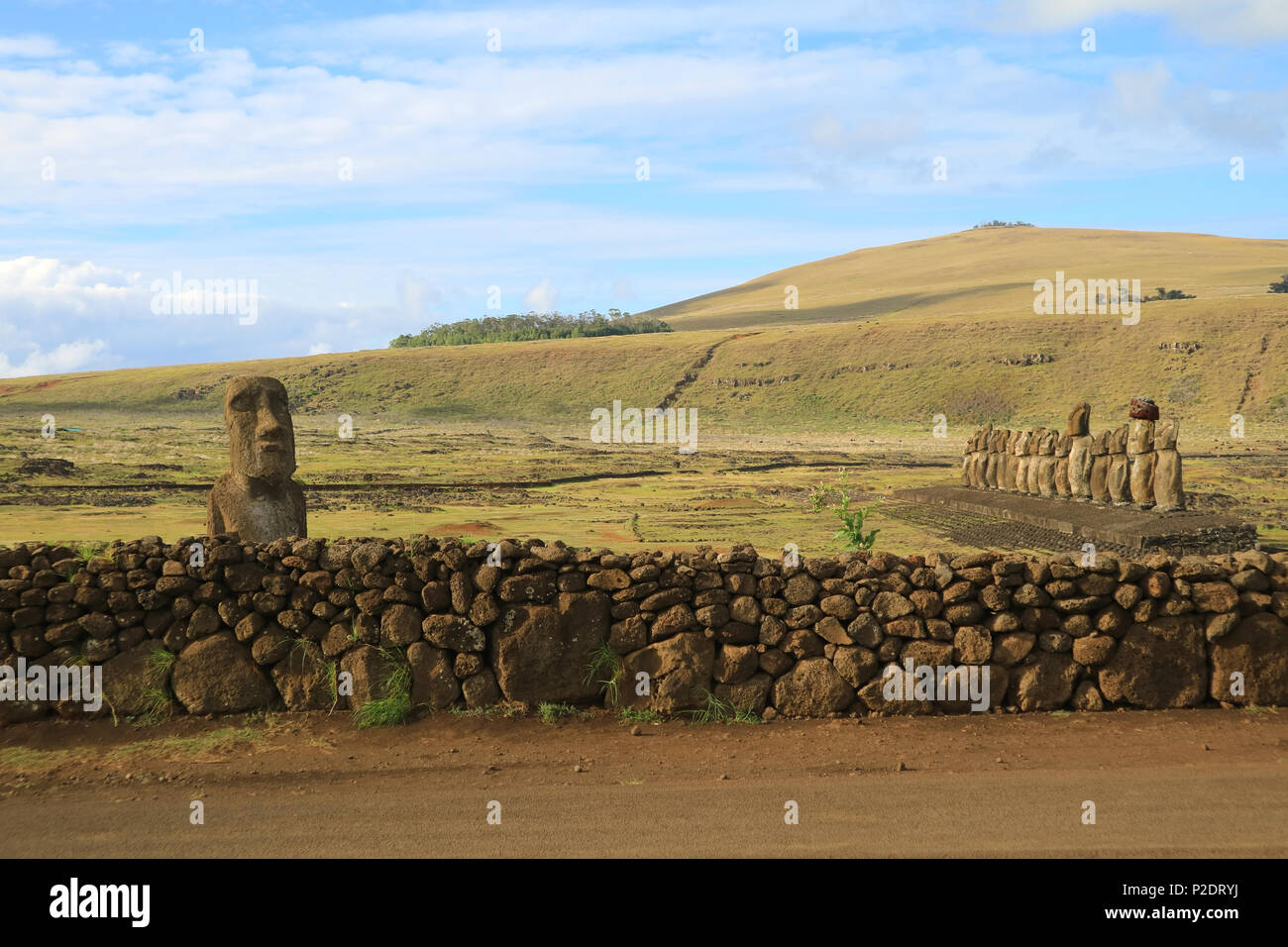 Solitary Moai near the stone fence and the famous 15 Moai on the ...
