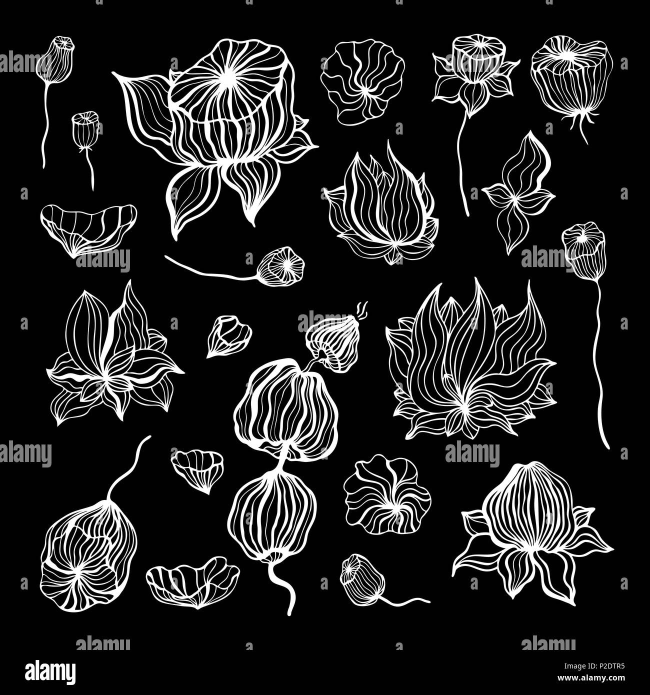 Abstract Flower. Vector Hand Drawn illustration, isolated Stock Vector ...