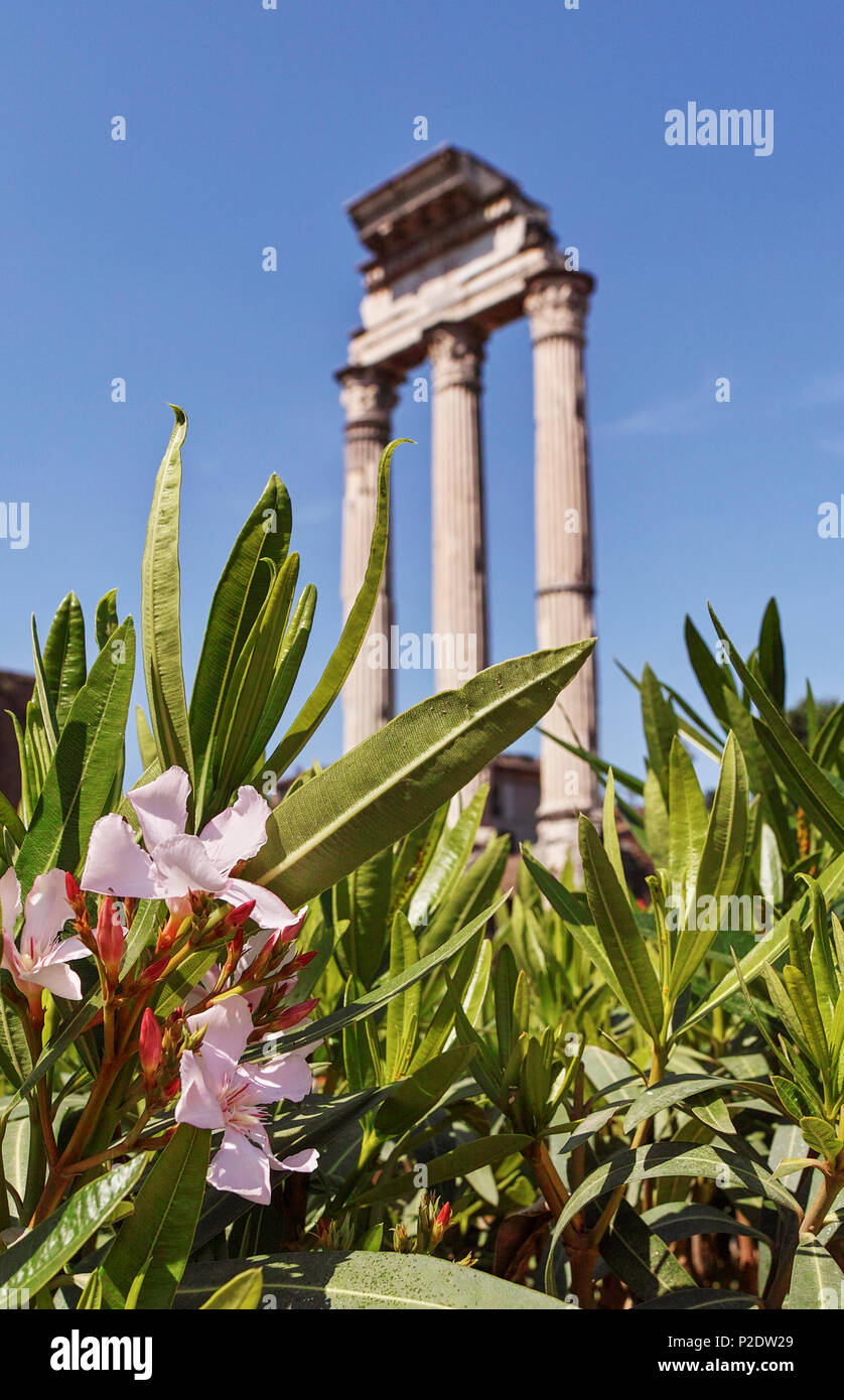 Orte italy hi-res stock photography and images - Alamy