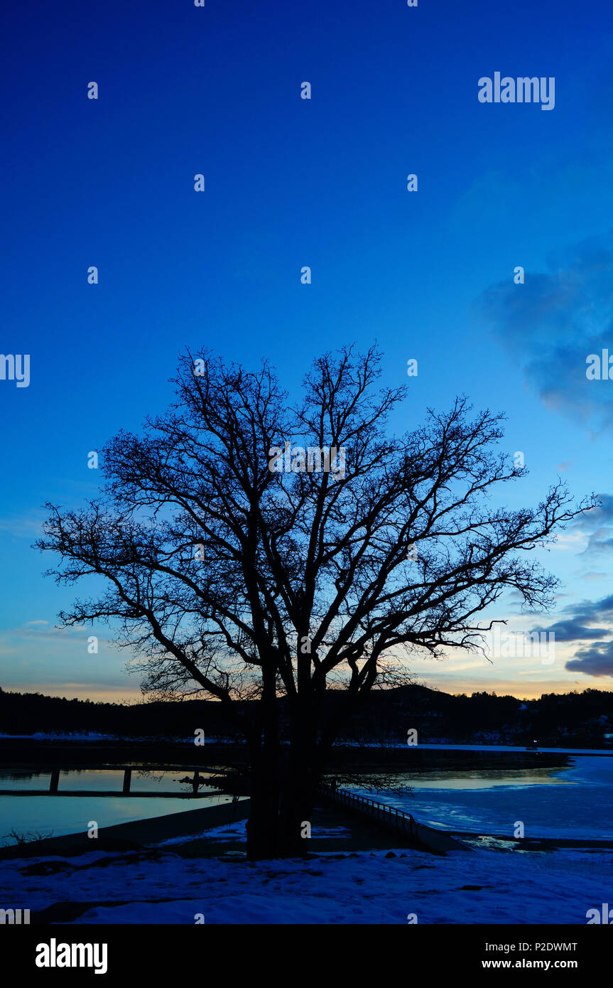 Railings in tree hi-res stock photography and images - Alamy