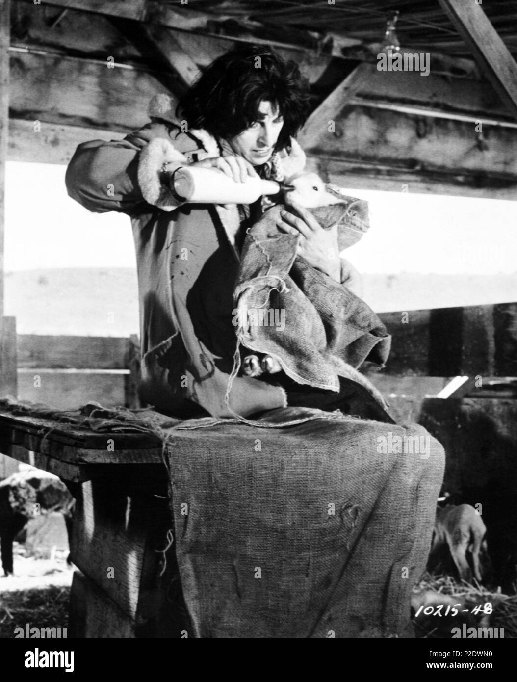 Original Film Title: WILD IS THE WIND. English Title: WILD IS THE WIND ...