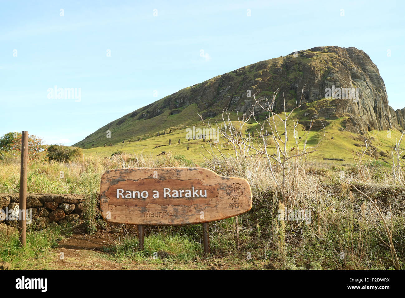 Rano Raraku volcano, quarry of the famous Moai statue on Easter Island ...
