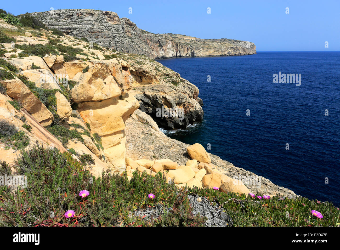 The Blue Grotto sea caves near the fishermen's harbour of Wied iz ...