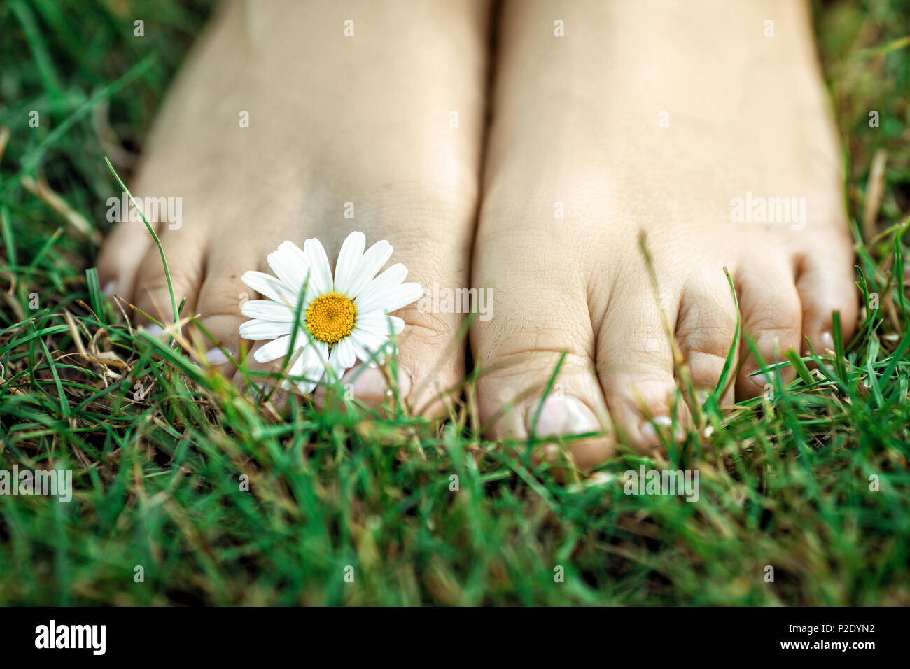 bare feet with daisy on green grass Stock Photo - Alamy
