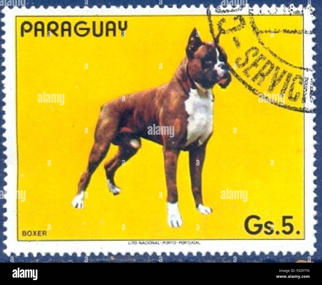 11 January 1984. Stamp of Paraguai 22 German-Boxer-Canis-lupus-familia