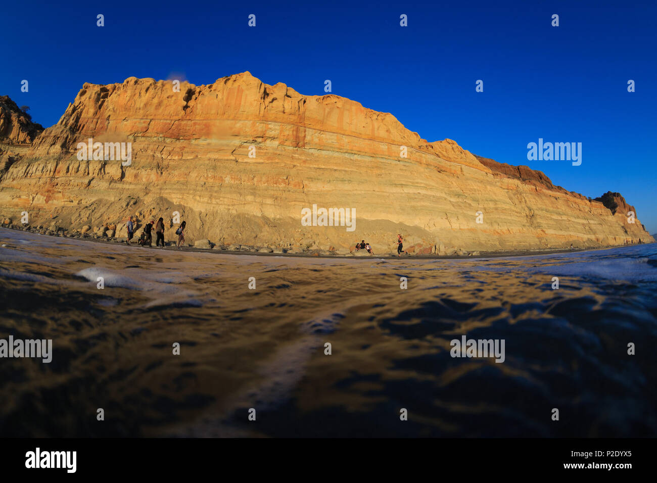 Torrey pines reserve hi-res stock photography and images - Alamy