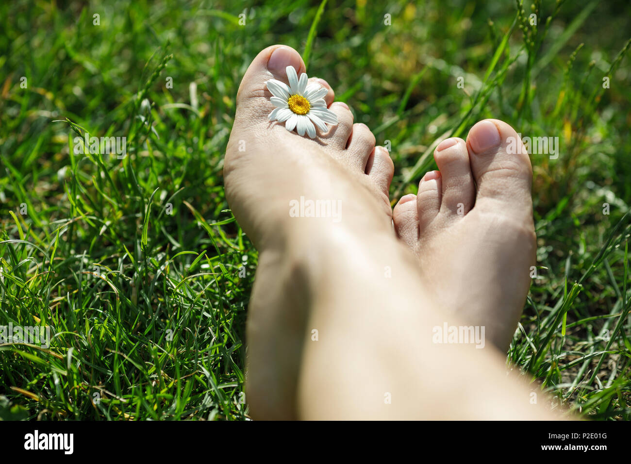 bare feet with daisy on green grass Stock Photo - Alamy