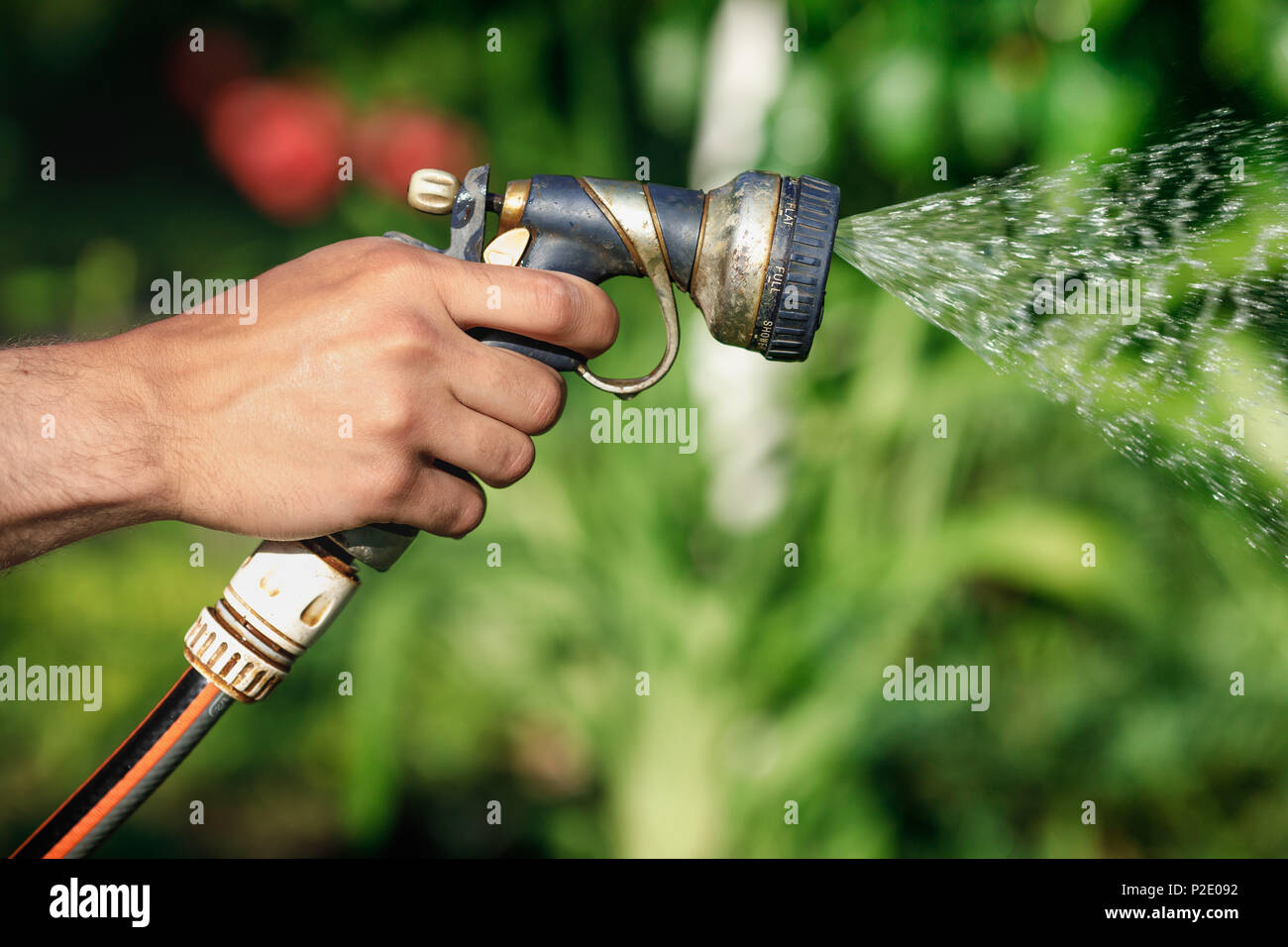 Garden hose spray hi-res stock photography and images - Alamy
