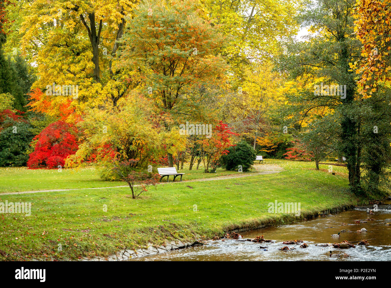 City of baden baden hi-res stock photography and images - Alamy