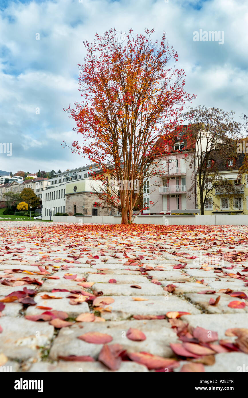 Beautiful autumn city landscape. Baden Baden. Germany Stock Photo - Alamy