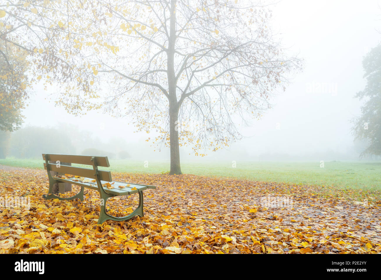 Early morning scene hi-res stock photography and images - Alamy