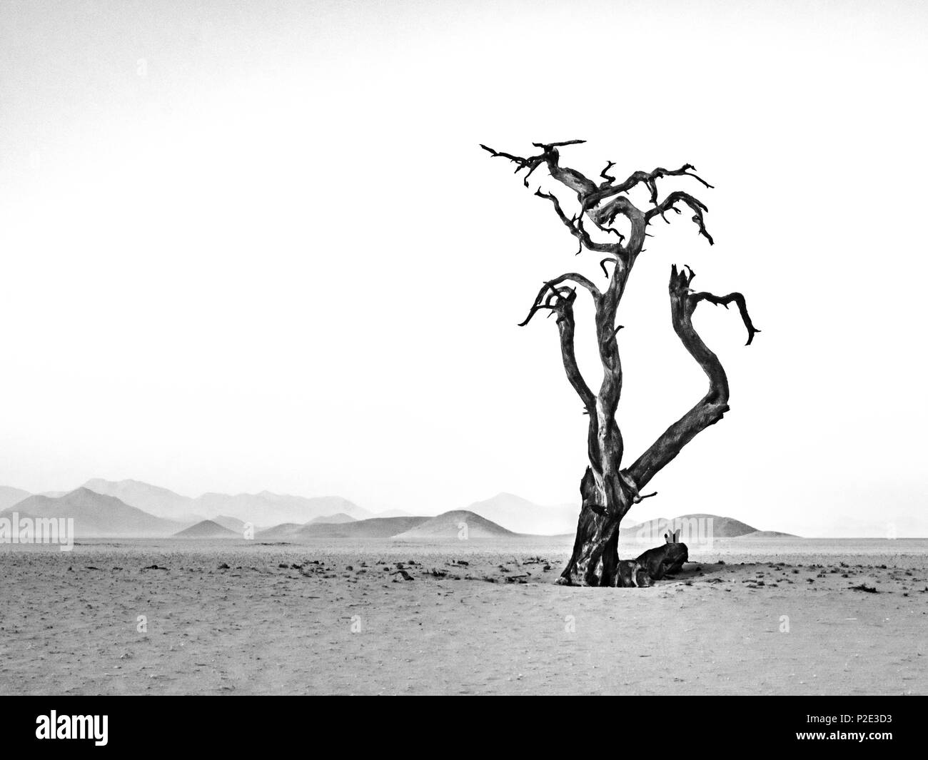 Stark sky Black and White Stock Photos & Images - Alamy