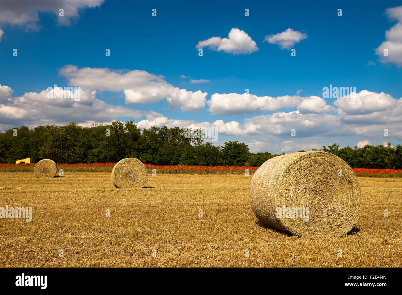 Poppy field with hay bales Stock Photo - Alamy