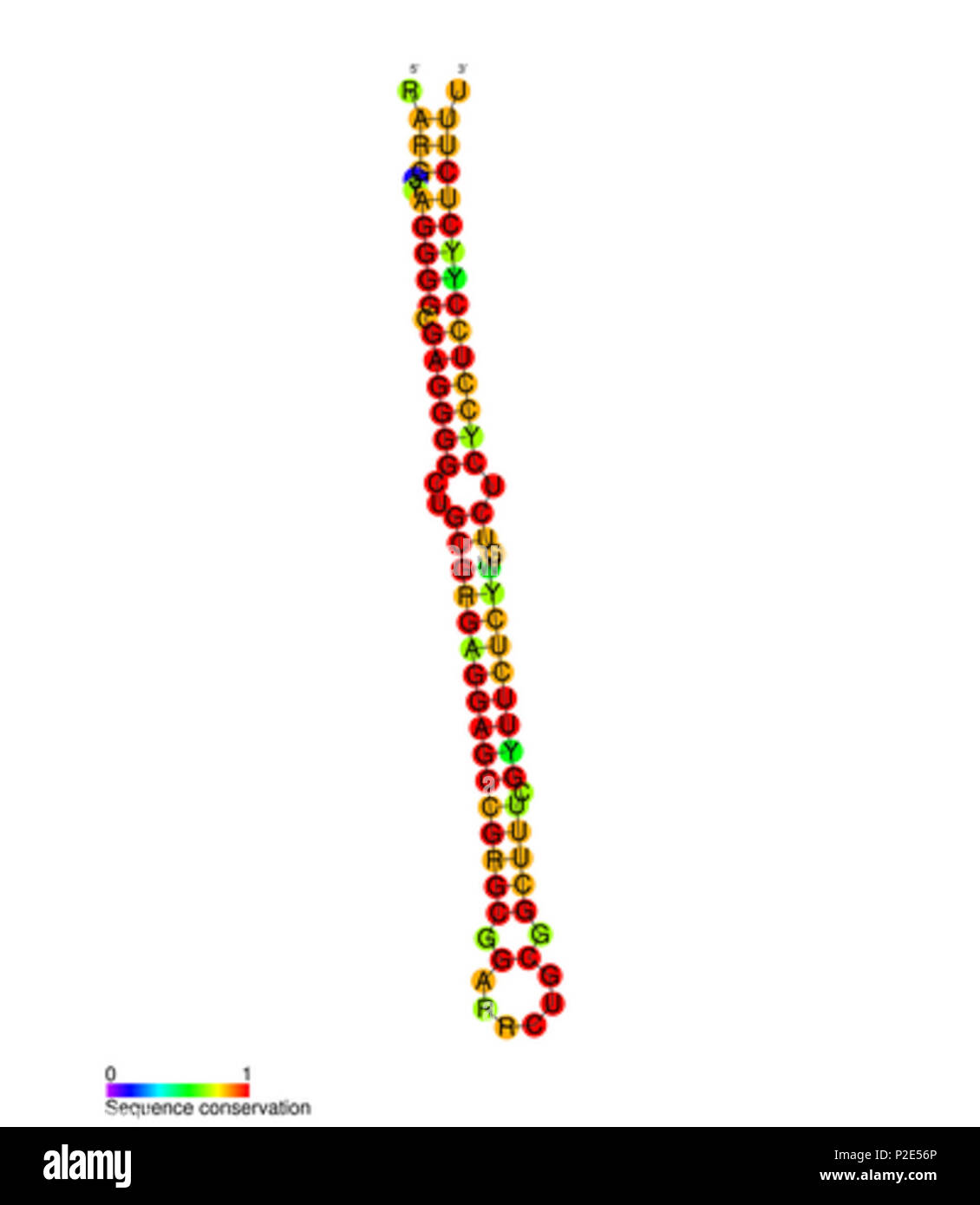 Race flight Cut Out Stock Images & Pictures - Alamy